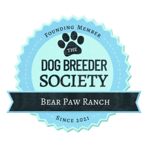 Home - Bear Paw Rat Terriers